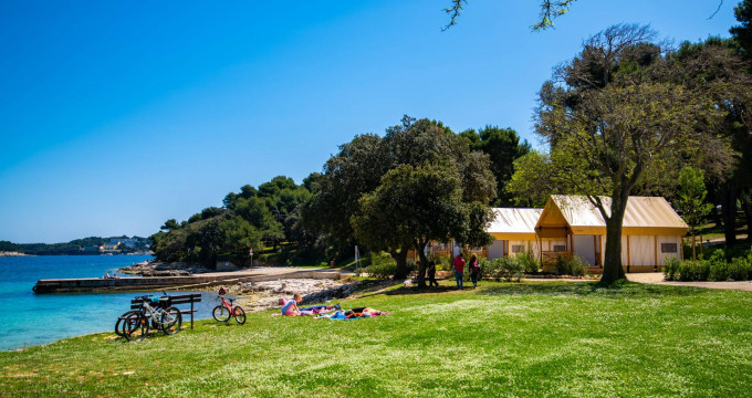 B2B - Arena Campsites - English