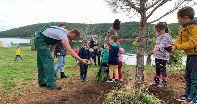 Plant a tree - Arena Campsites